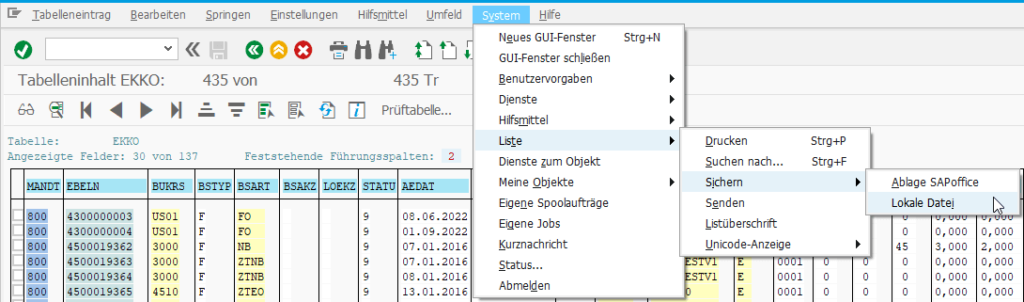 Manueller Datenexport aus SAP - The Data Pilot